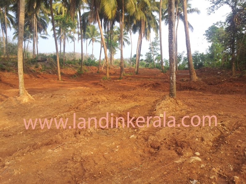 Land for sale in Desamangalam-Kootupatha,Thrissur , Kerala